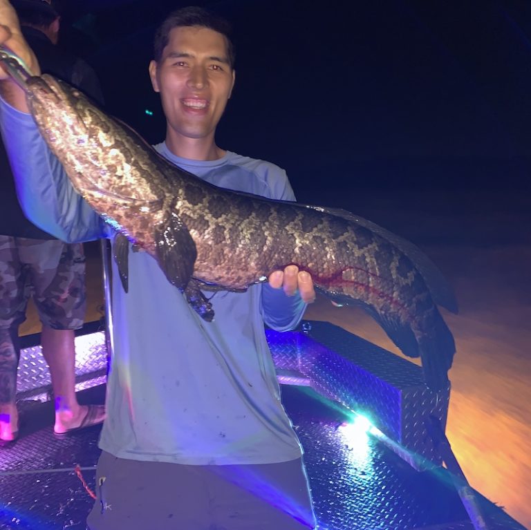 Snakehead Hero - Bowhunters United Bowhunters United