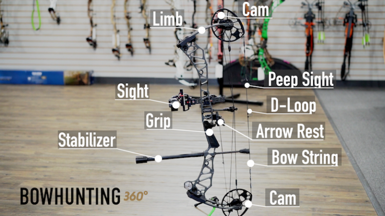 A Buyer’s Guide to Compound Bows Bowhunters United