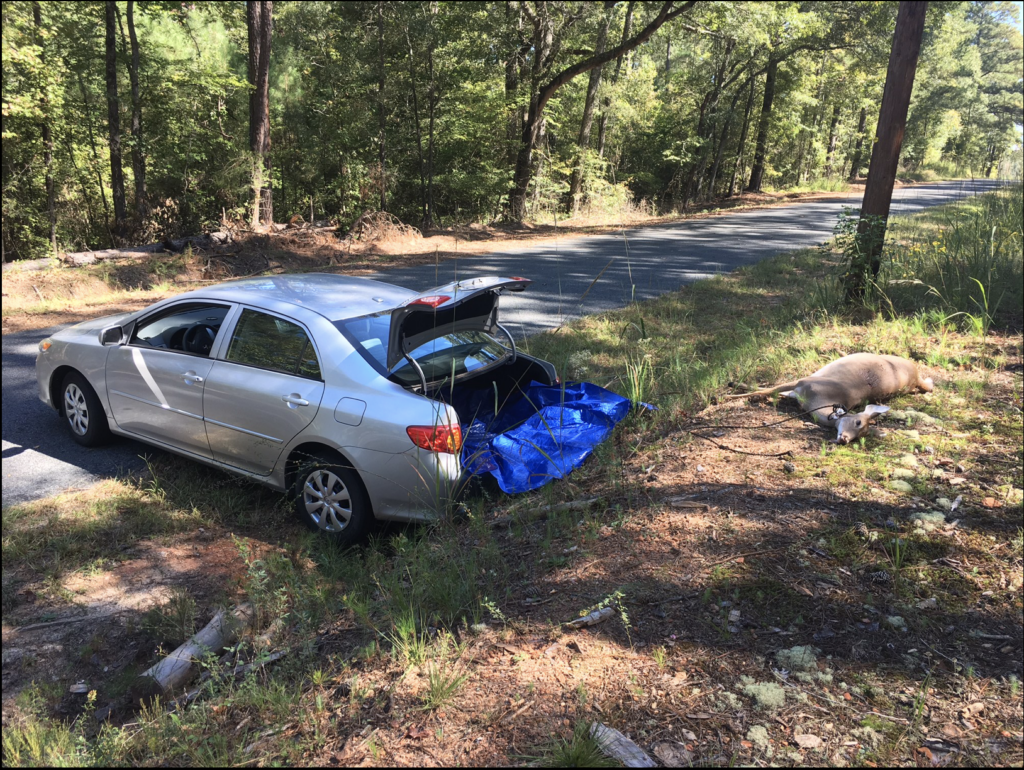 After the Shot: 4 Ways to Get Your Deer to Your Vehicle Bowhunters United