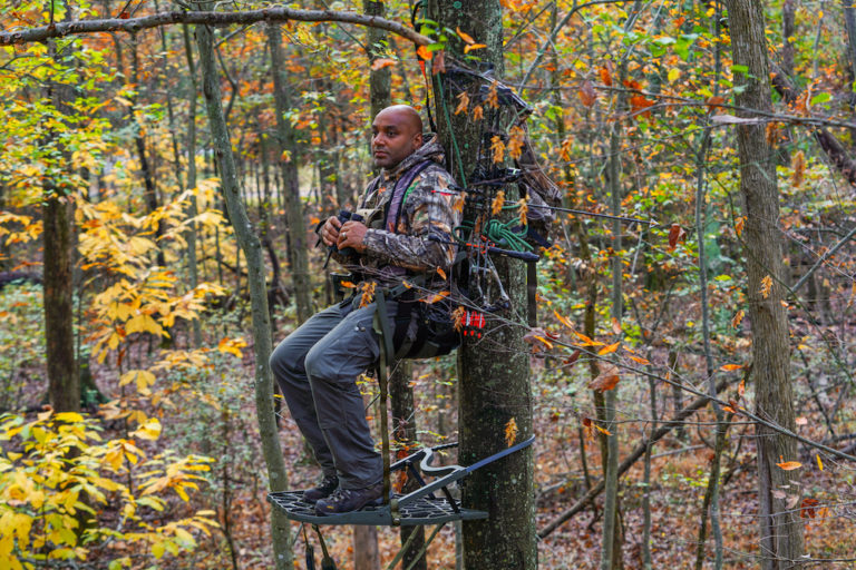 Tree ID: The Overlooked Secret to Bowhunting Success Bowhunters United