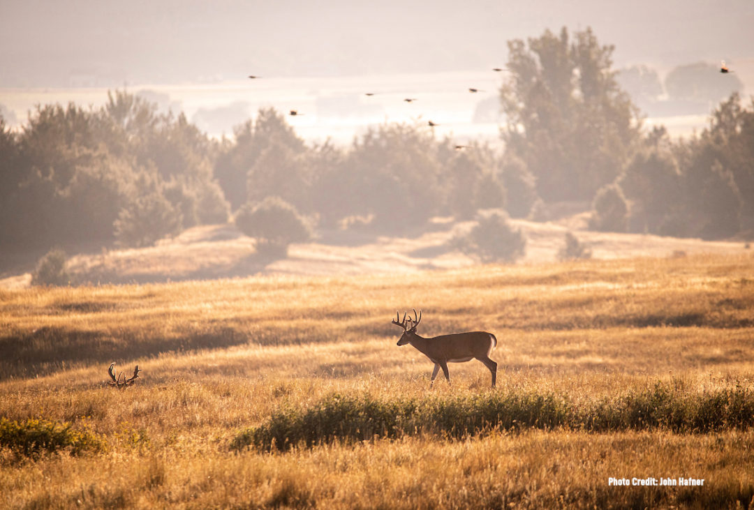 Hero - Story - John Hafner Update - Bowhunters United Bowhunters United