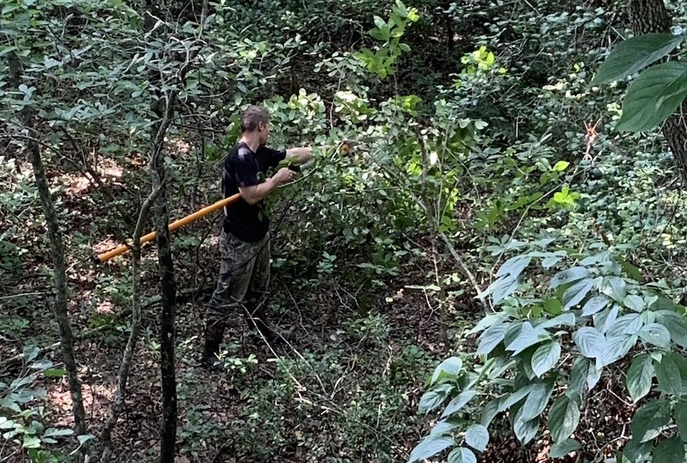 Bowhunting Archives - Bowhunters United