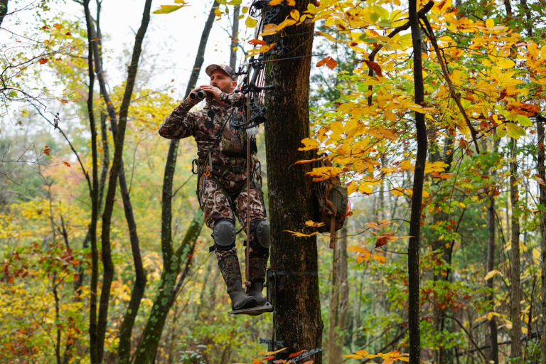 How to Hunt Big Swamp Bucks Bowhunters United